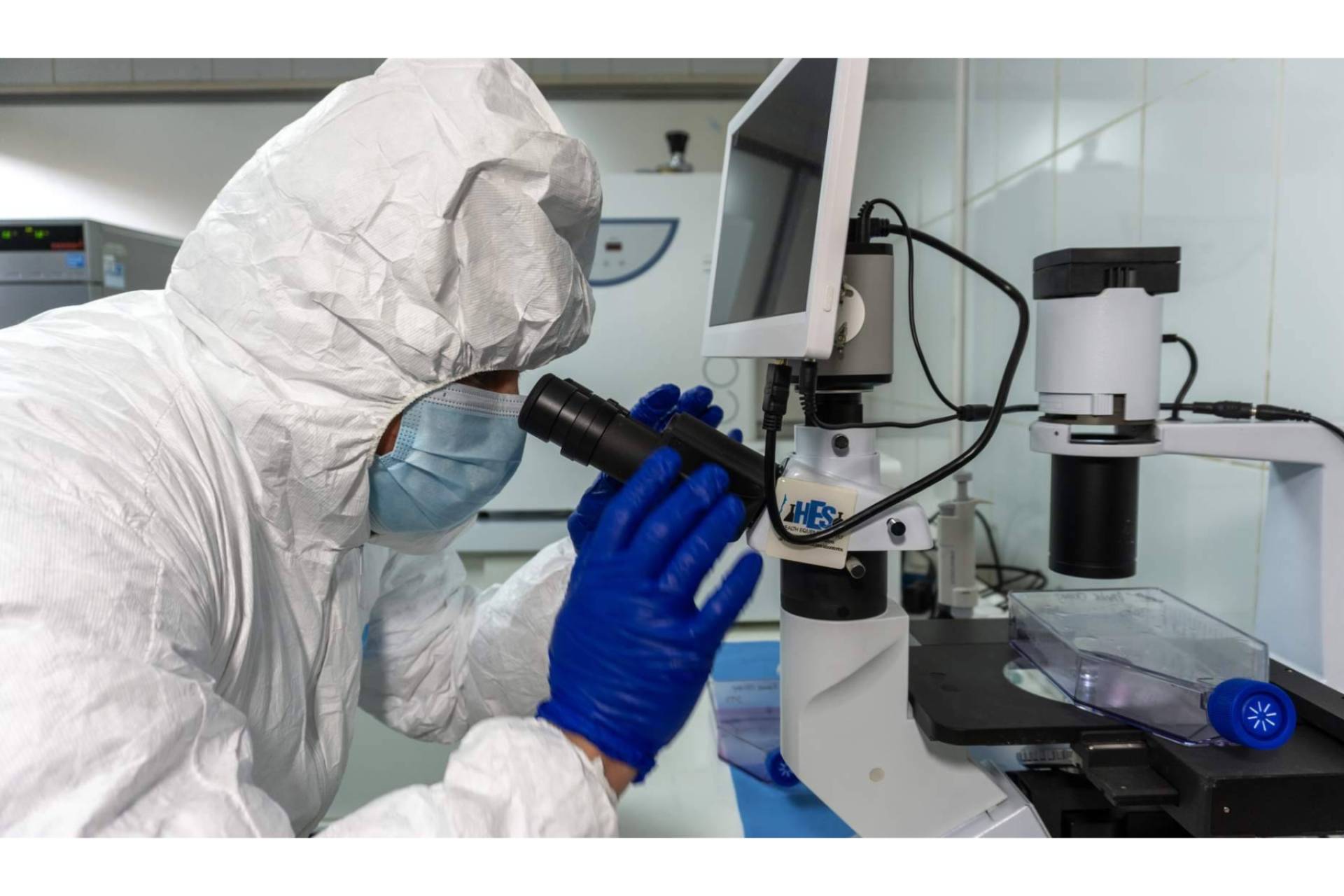 Cancer avanzado; El valioso aporte actual de la inmunoterapia DEX en el ...